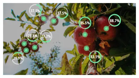 Build a classifier in just minutes using APIs | Nyckel