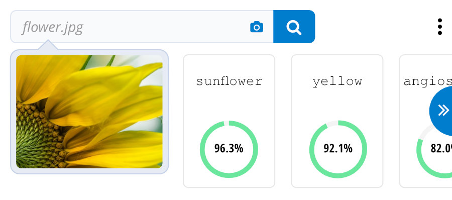 Classify Anything Using Nyckels Classification Api Nyckel