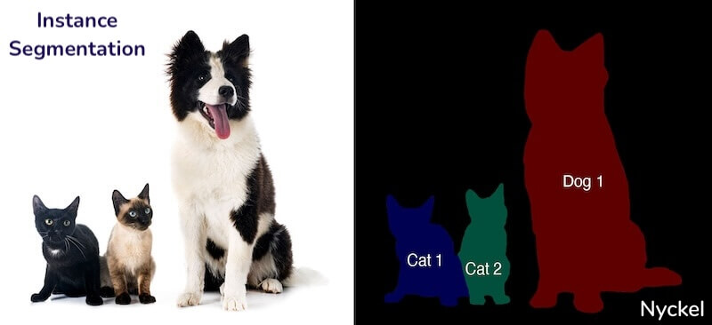 What Is Image Classification? The Definitive 2024 Guide | Nyckel