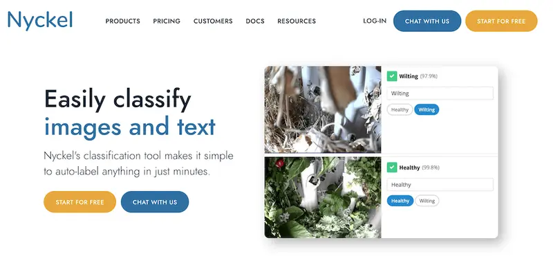 What Is Image Classification? The Definitive 2024 Guide | Nyckel