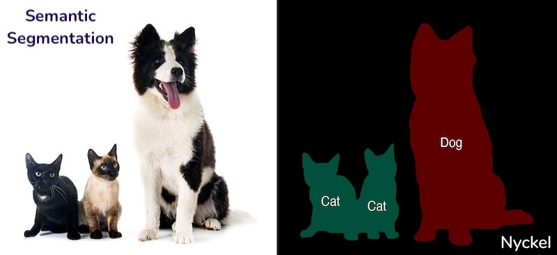 What Is Image Classification? The Definitive 2024 Guide | Nyckel